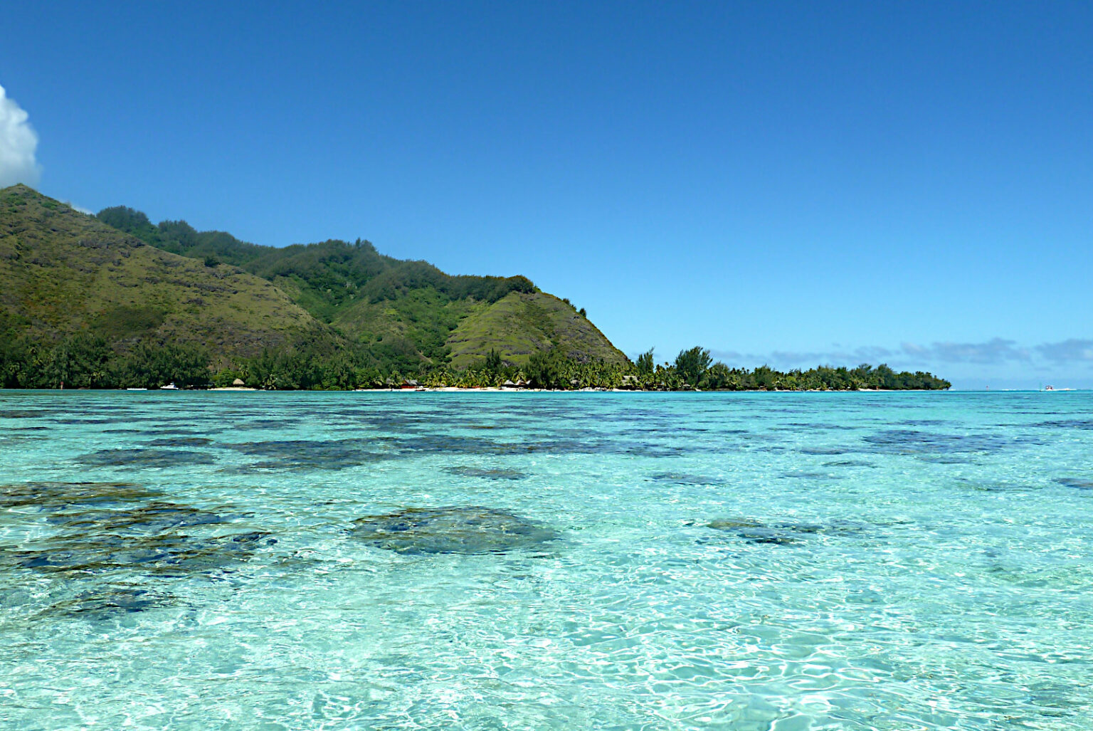 Que faire à MOOREA ? Activités et Endroits à visiter absolument